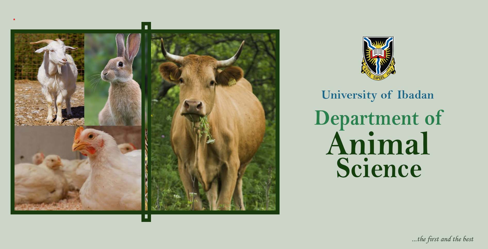Animal Science | FACULTY OF AGRICULTURE